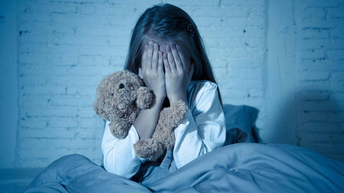 Night Terror | I'm A Hero Books – I'm a Hero